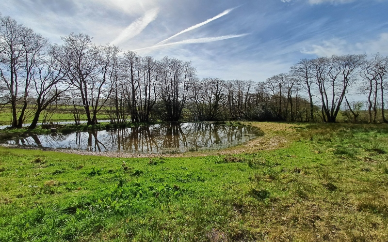 Natural Flood Management (NFM) Scheme
