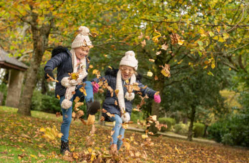 Council services - Carmarthenshire County Council